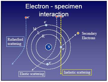 Electron Material (Specimen) Interaction in Microanalysis